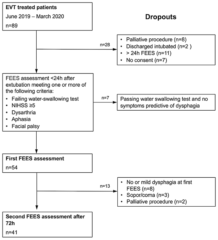 Frontiers | Dysphagia assessment in ischemic stroke after mechanical ...