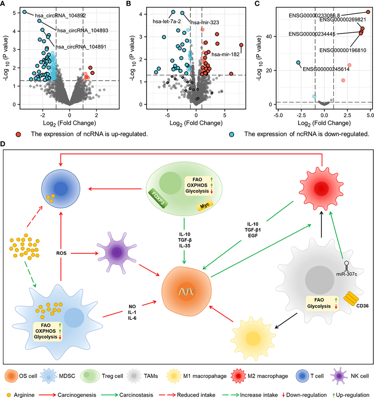 Frontiers | Modulation of immunosuppressive cells and noncoding RNAs as ...