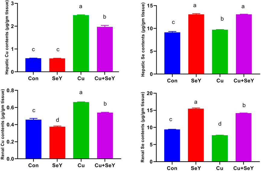 Frontiers | Selenium-enriched yeast modulates the metal bioaccumulation ...