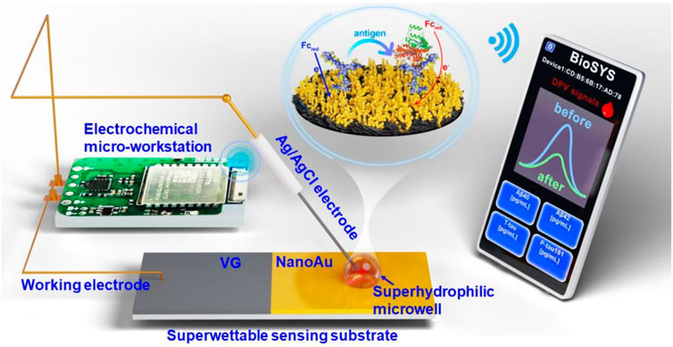 Frontiers | Electrochemical immunosensor based on superwettable ...