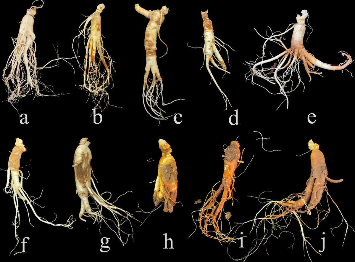 Frontiers | A non-destructive testing method for early detection of ...