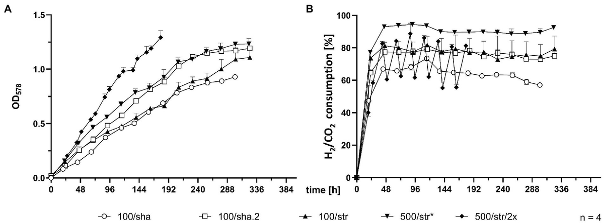Frontiers | Scale-up of biomass production by Methanococcus maripaludis