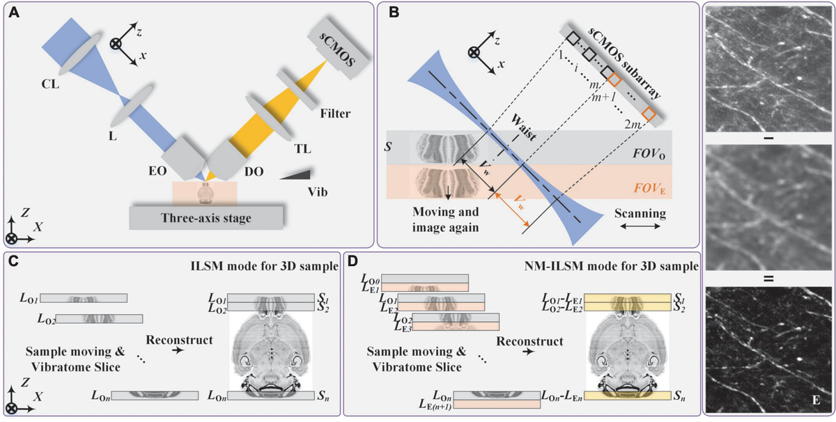 Frontiers | Axial resolution and imaging contrast enhancement in ...