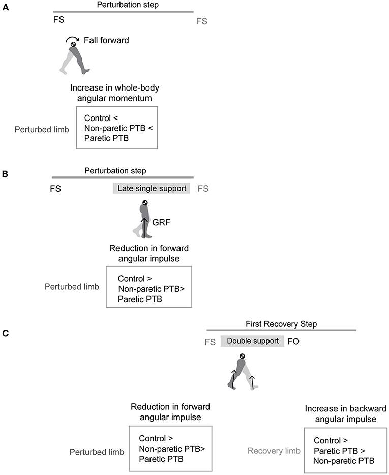 Frontiers | Impairments in the mechanical effectiveness of reactive ...