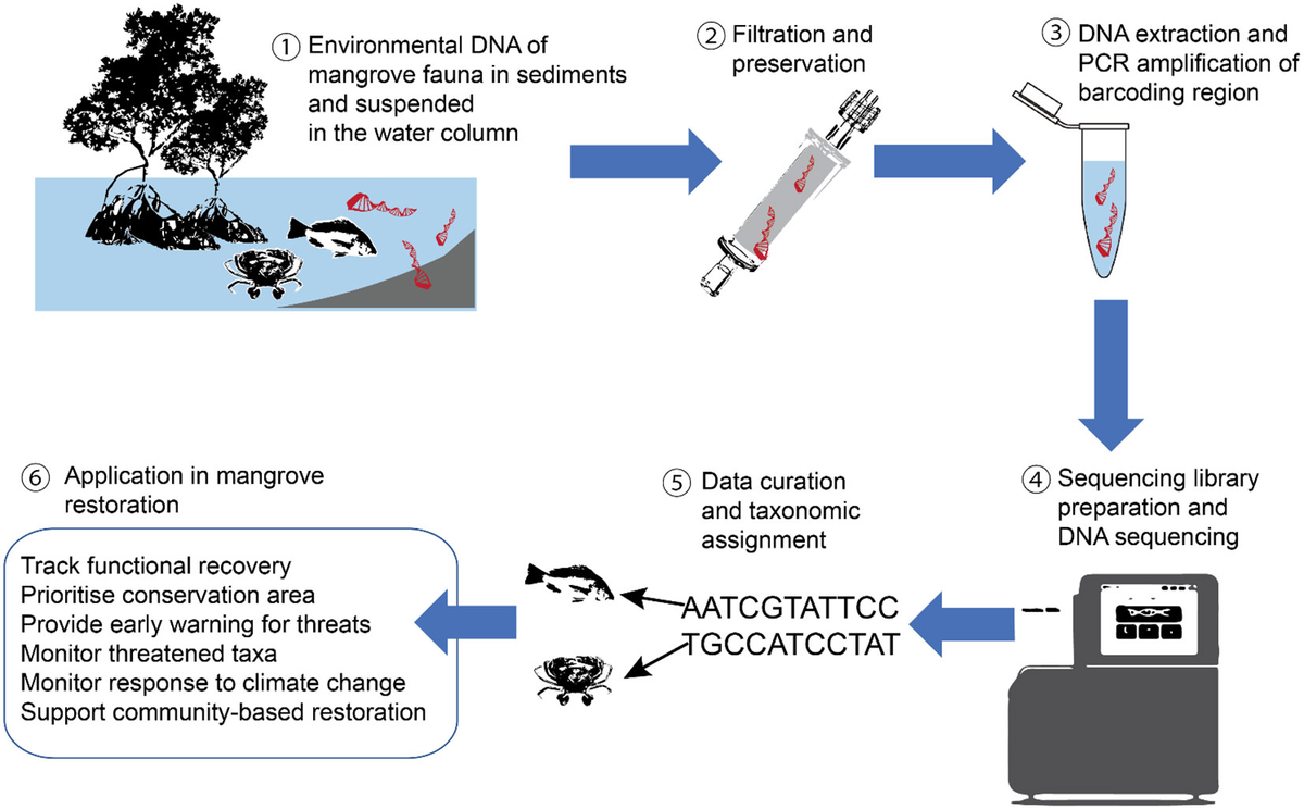 Frontiers | Prospects and challenges of environmental DNA (eDNA ...