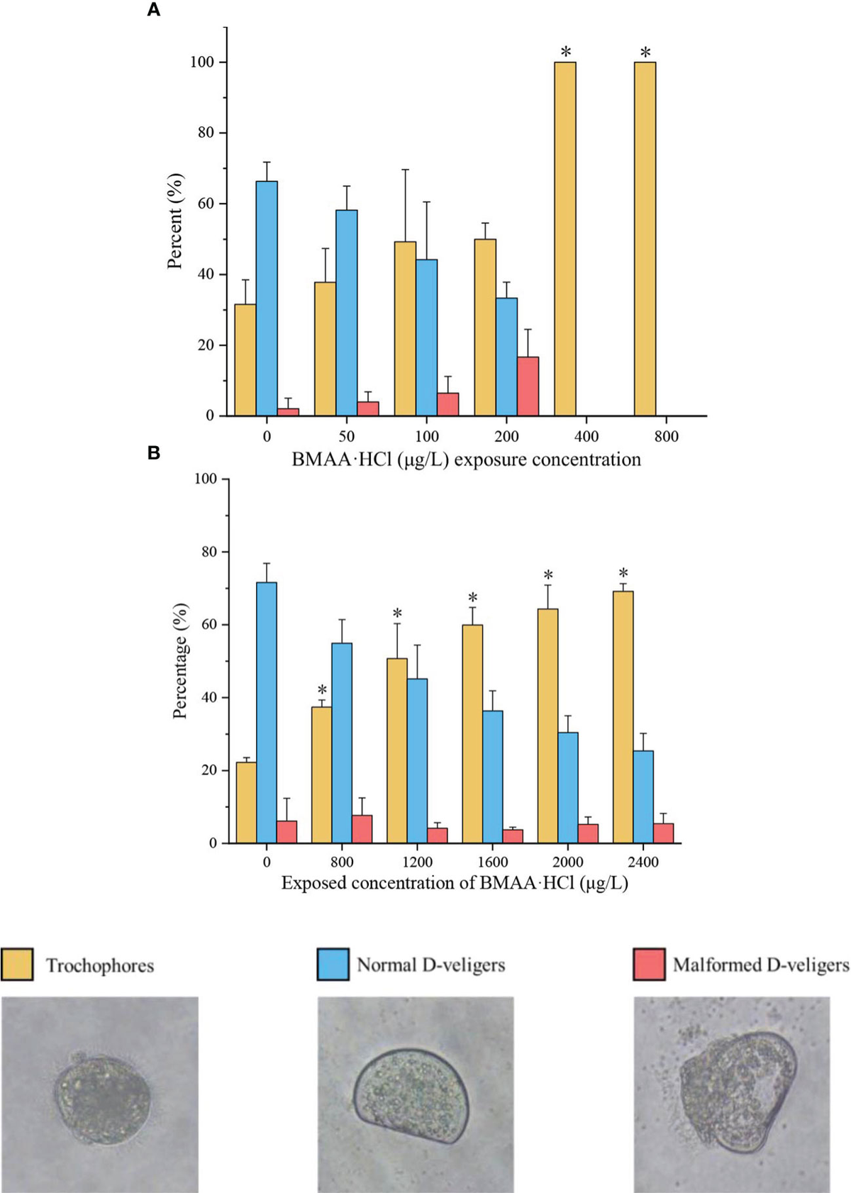 Frontiers | Effects of the neurotoxin β-N-methylamino-L-alanine (BMAA ...