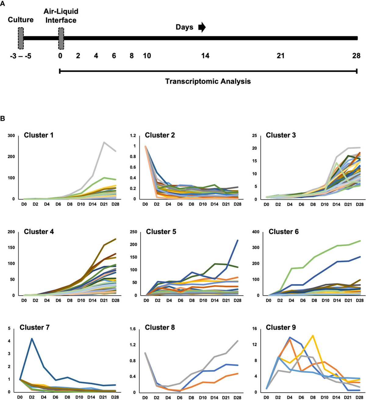Frontiers | BPIFA1 is a secreted biomarker of differentiating human ...