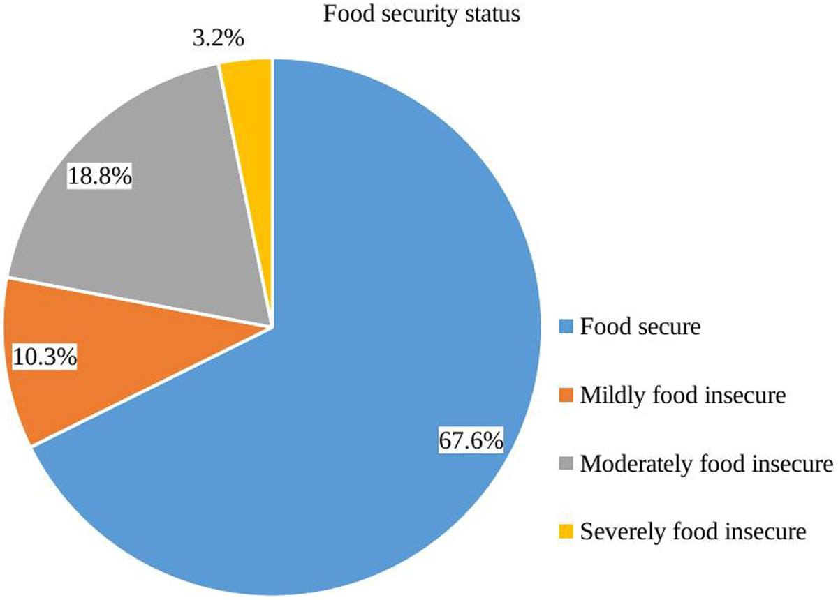 Frontiers | Household food insecurity and hunger status in Debre Berhan ...