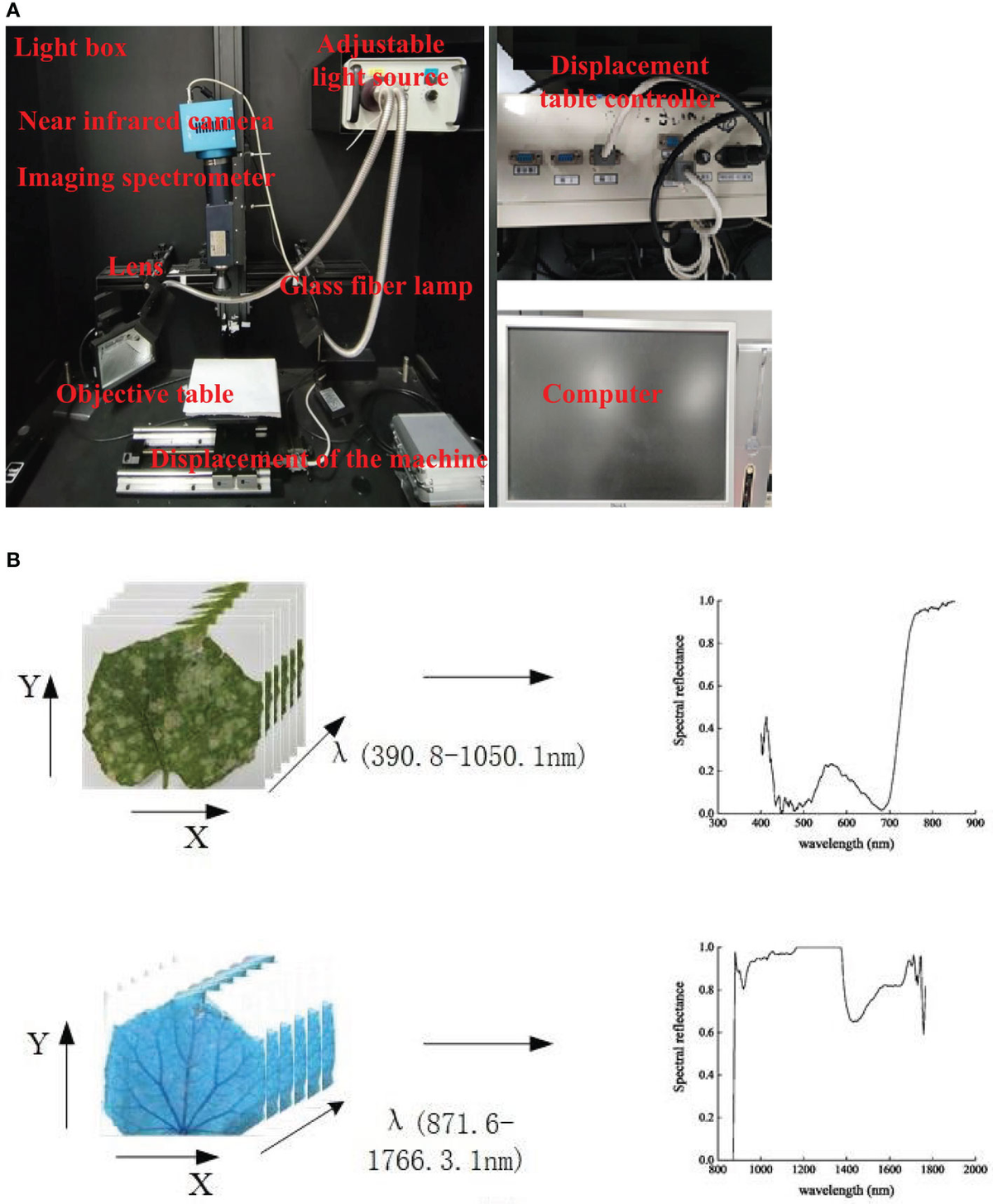 Frontiers | Cucumber powdery mildew detection method based on ...