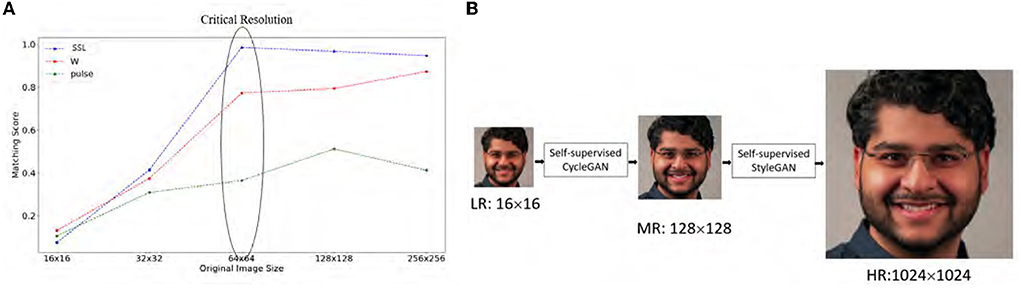 Frontiers | Toward extreme face super-resolution in the wild: A self ...