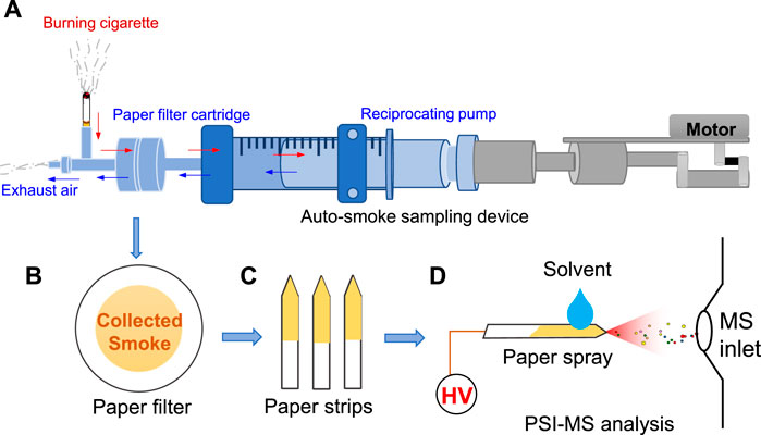 Frontiers | Direct adsorption sampling and ambient mass spectrometry ...
