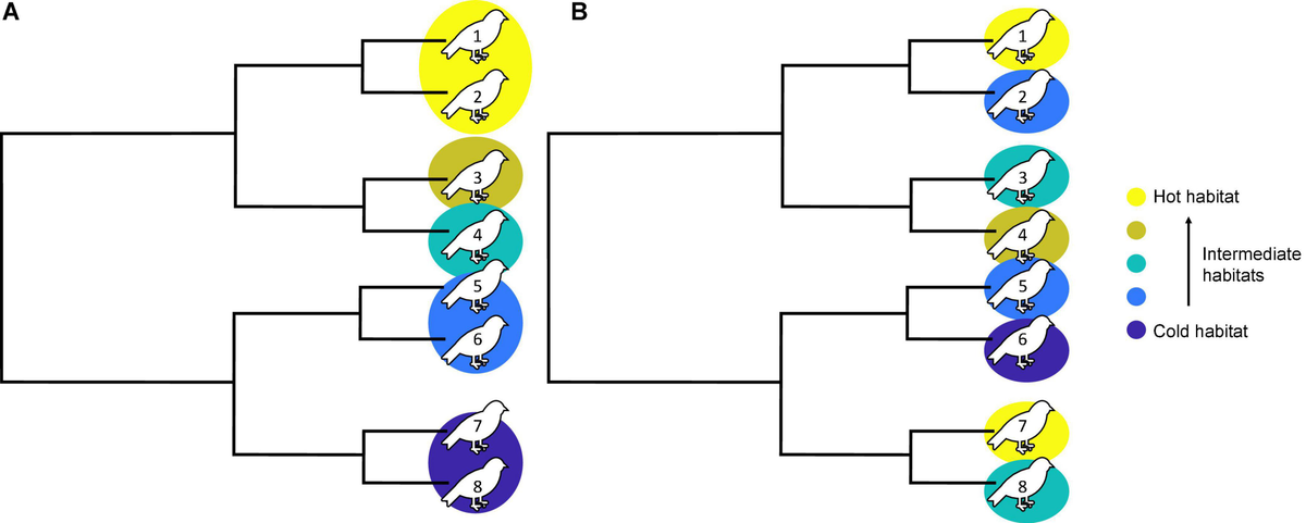 Frontiers | The interactive effects of environmental gradient and ...