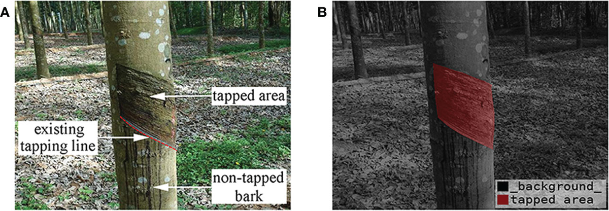 Frontiers | Tapped area detection and new tapping line location for ...