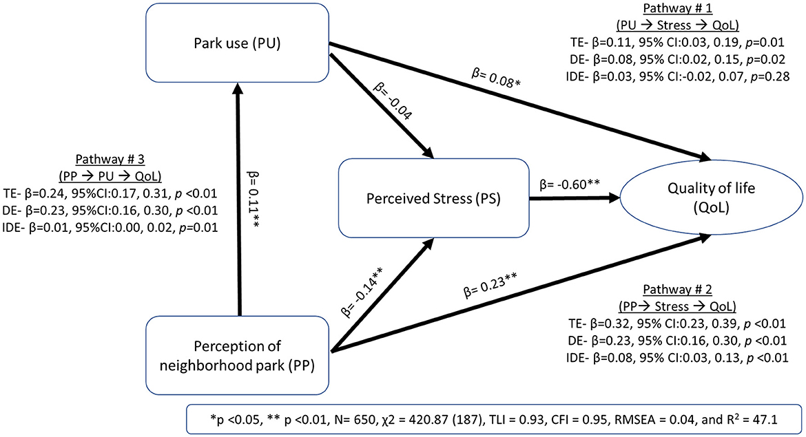 Frontiers | The association of park use and park perception with ...