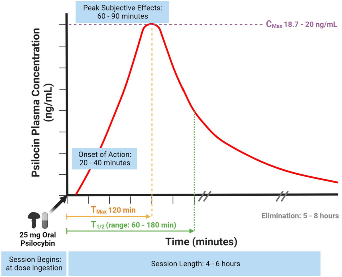 Frontiers | Therapeutic use of psilocybin: Practical considerations for ...