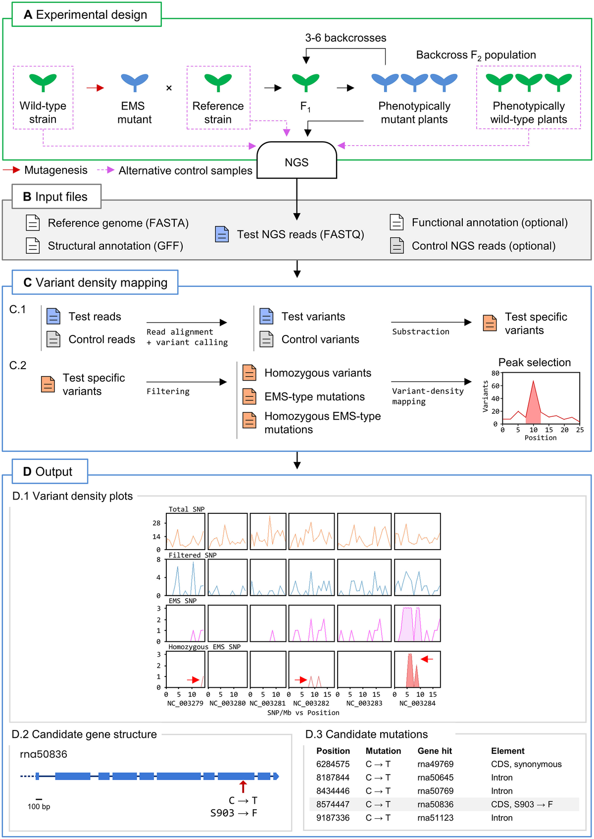 Frontiers | Versatile mapping-by-sequencing with Easymap v.2