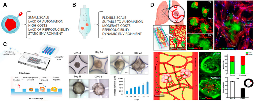 Frontiers | 3D organ-on-a-chip: The convergence of microphysiological ...
