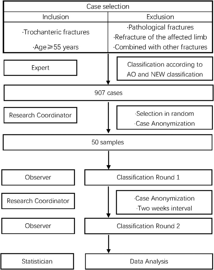 Frontiers | Proposal and validation of a new classification for ...