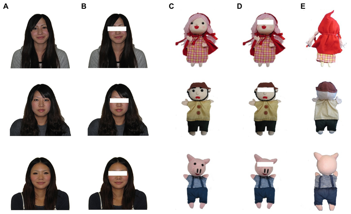 Frontiers | Effect of personality traits on matching dolls and their makers