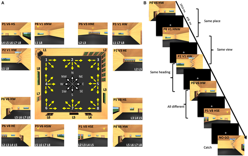 Frontiers | Distributed cognitive maps reflecting real distances ...