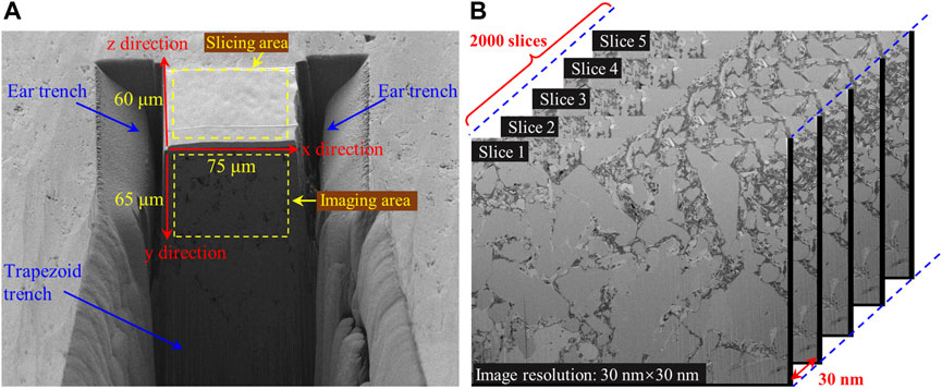 Frontiers | Large-volume FIB-SEM 3D reconstruction: An effective method ...
