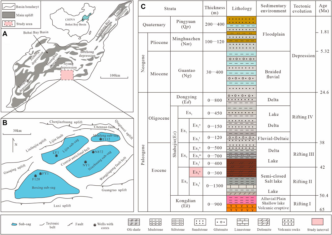 Frontiers | Forecast of lacustrine shale lithofacies types in ...