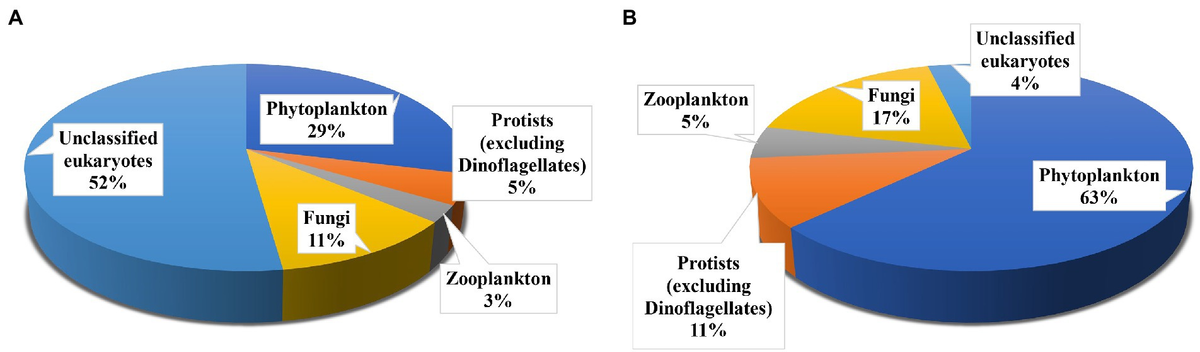 Frontiers | High-throughput sequencing reveals omnivorous and ...