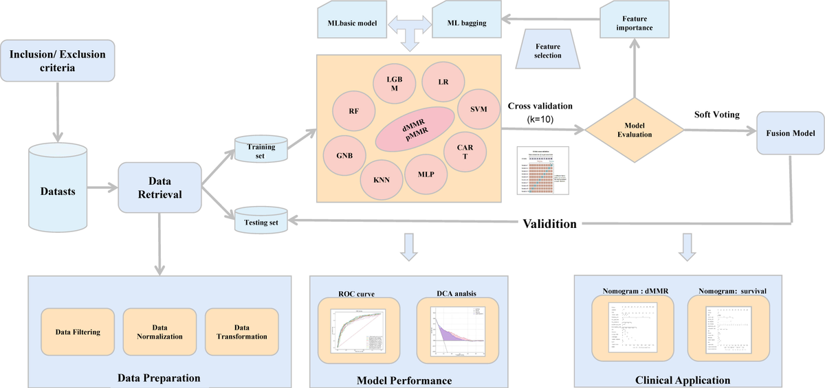 Frontiers | Application of machine learning in the prediction of deficient mismatch repair in ...