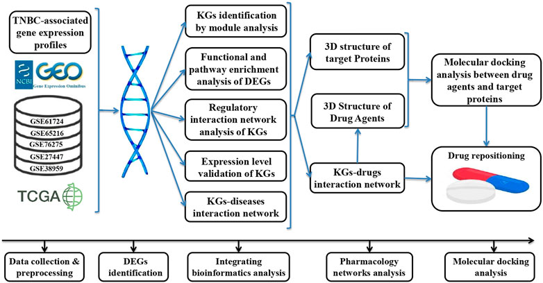 Frontiers | Gene expression profile analysis to discover molecular ...