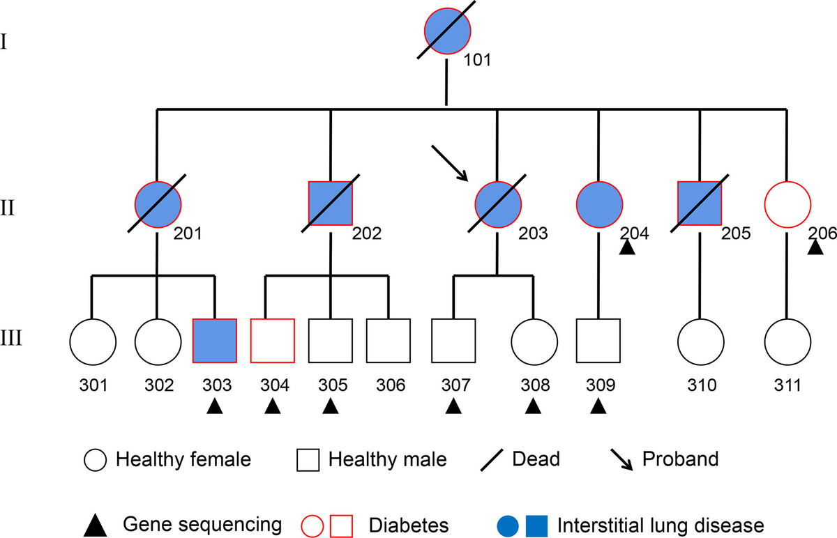 Frontiers | Clinical characteristics and genetic analysis of a Chinese ...