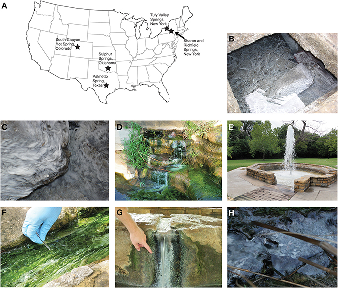 Frontiers | Biogeographic congruency among bacterial communities from ...