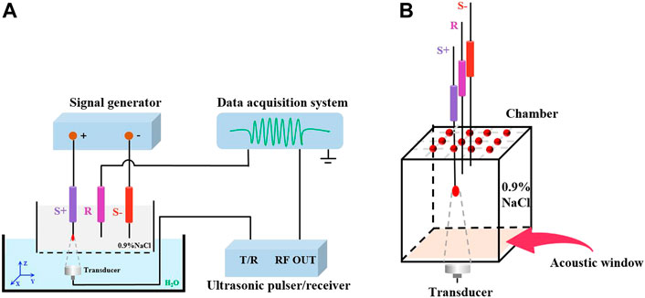 Frontiers | An adaptive acoustoelectric signal decoding algorithm based ...