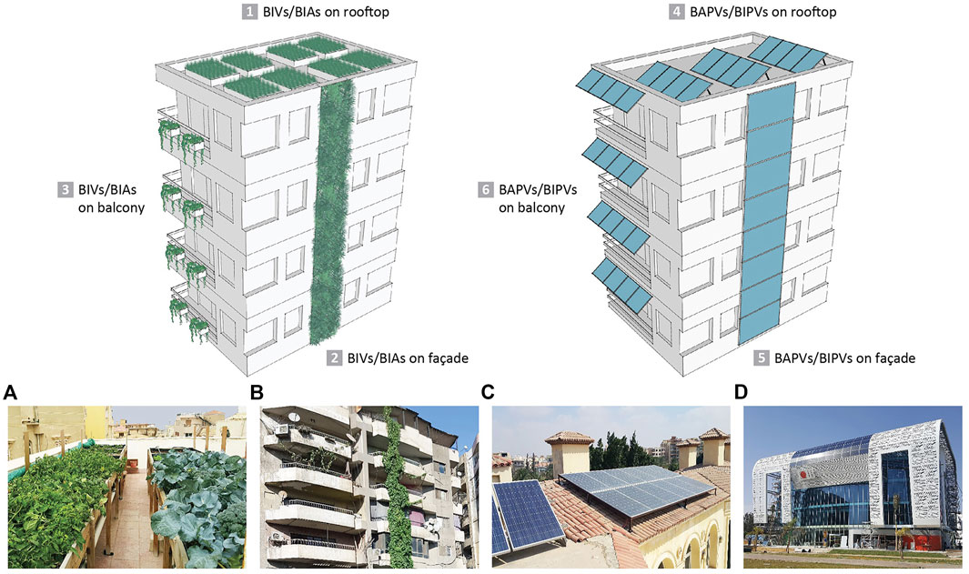 Frontiers | Functionalizing building envelopes for greening and solar energy: Between theory and ...