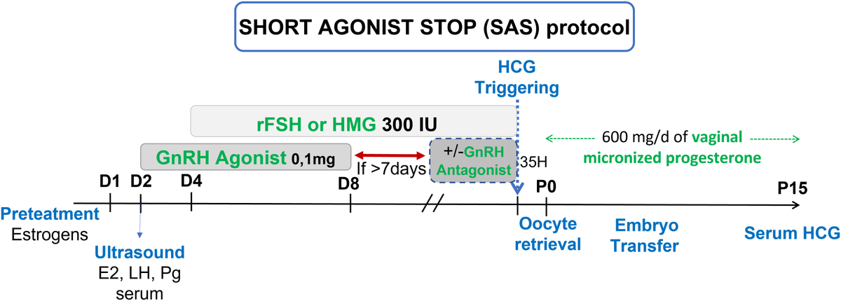 Frontiers | “Short agonist stop” protocol, an ovarian stimulation for ...