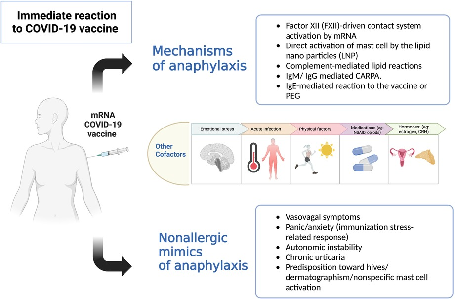 Frontiers | Anaphylaxis induced by mRNA COVID-19 vaccines: follow-up ...