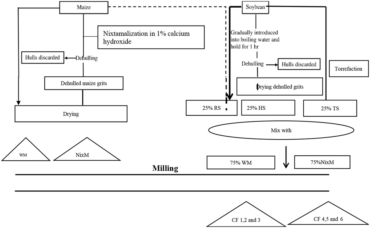 Frontiers | Effect of nixtamalization of maize and heat treatment of ...