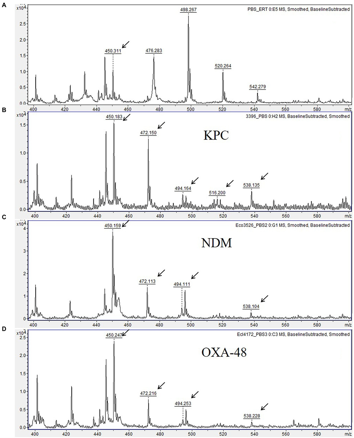 Frontiers | Detection of carbapenemase-producing Enterobacterales by ...