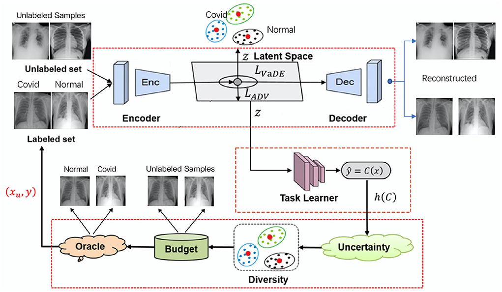 Frontiers | Variational deep embedding-based active learning for the diagnosis of pneumonia