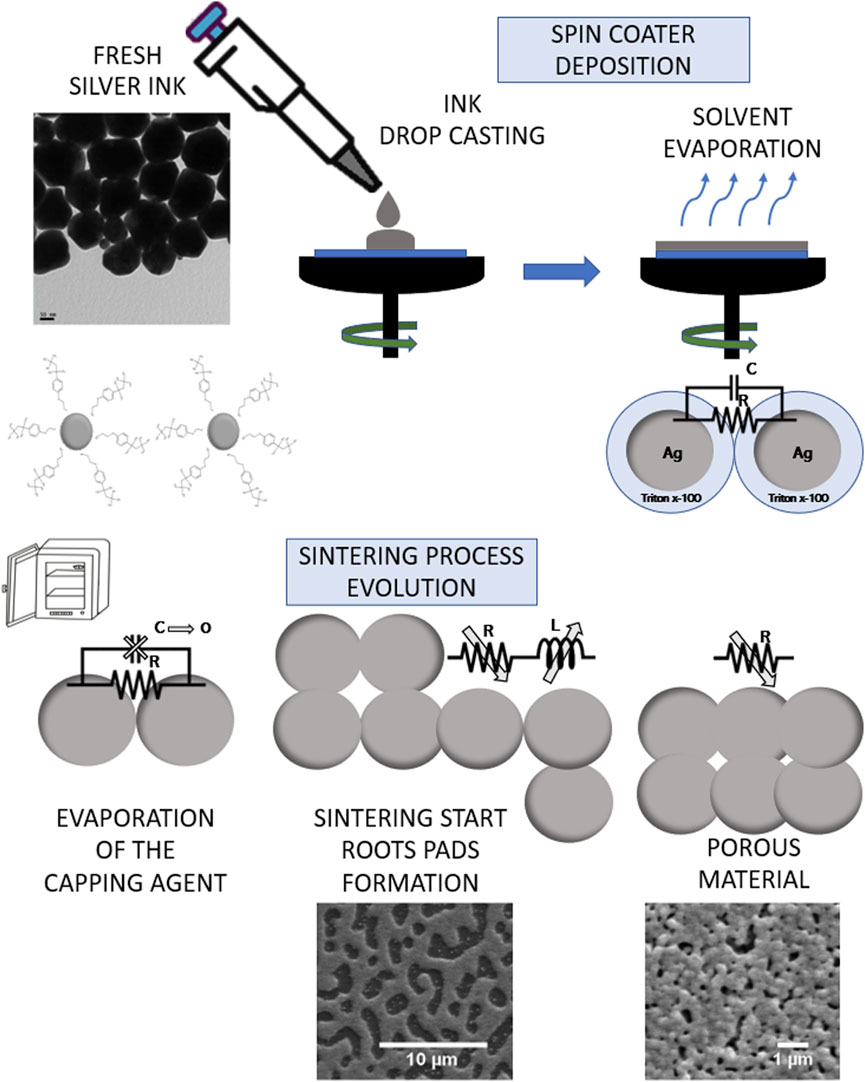 Frontiers | Analytic circuit model for thermal drying behavior of ...