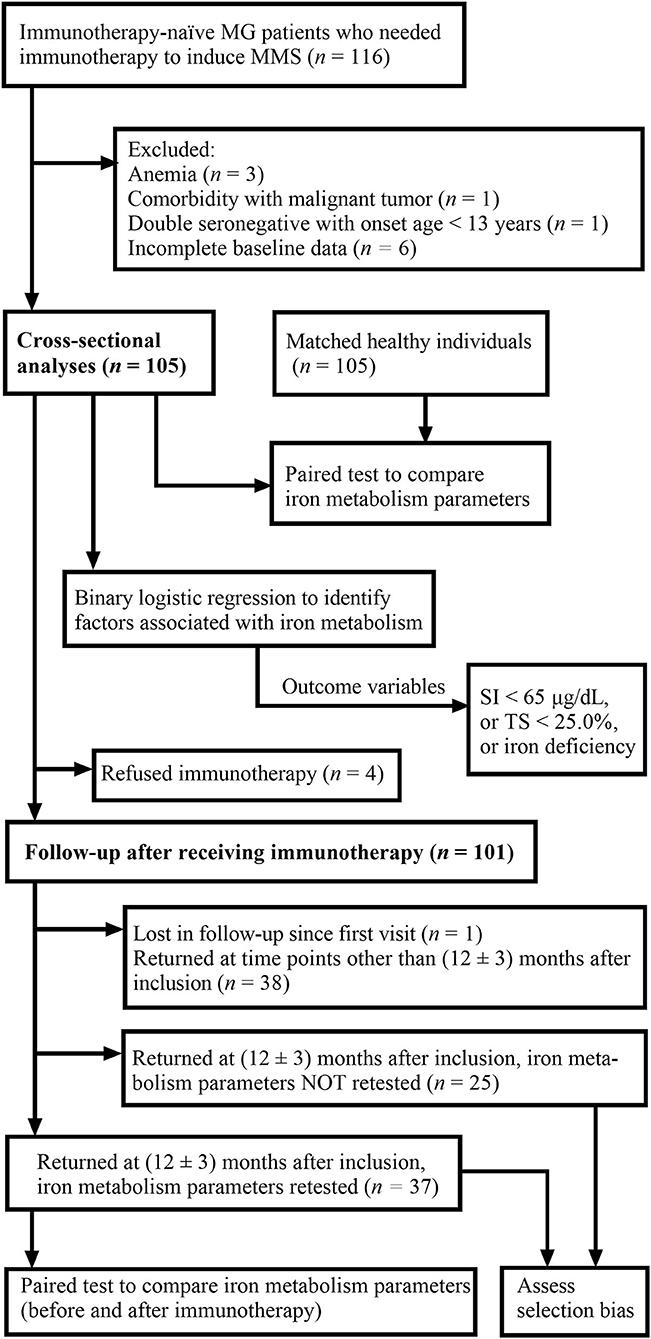 Frontiers | Iron metabolism patterns in non-anemic patients with ...