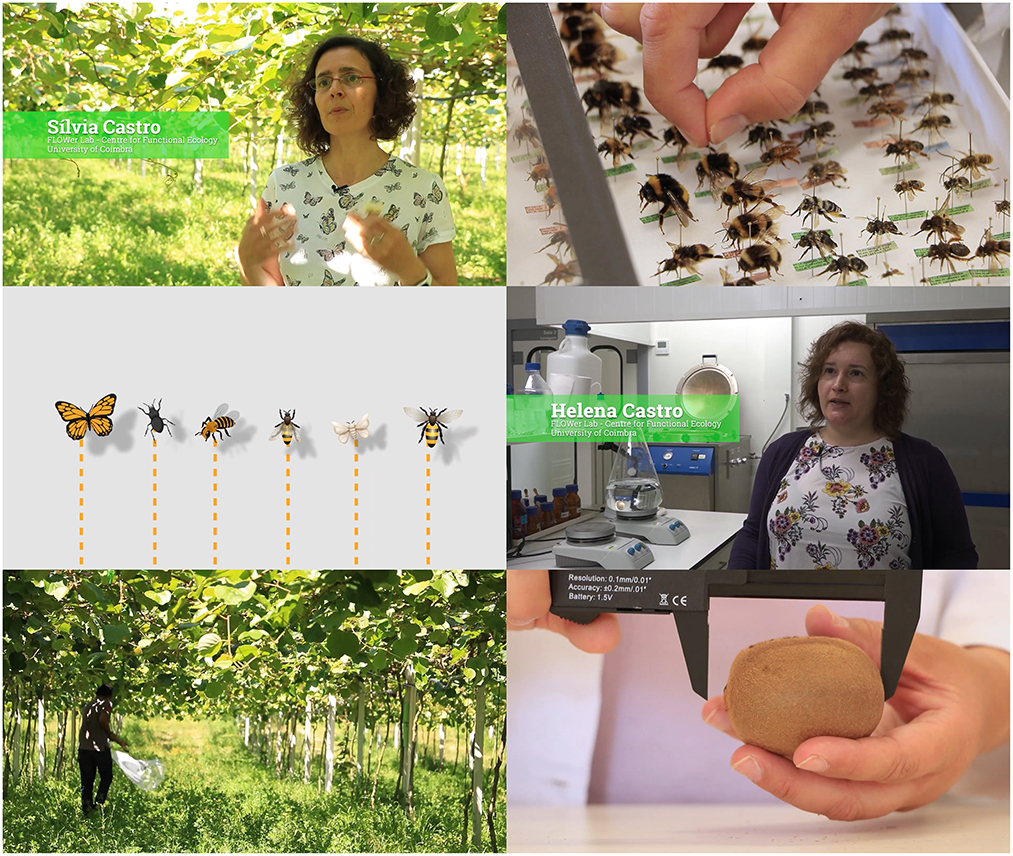 Frontiers | Video abstract production guide