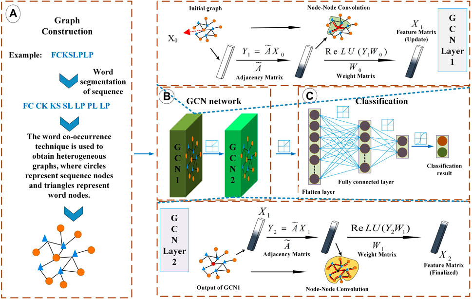 Frontiers | LABAMPsGCN: A framework for identifying lactic acid ...