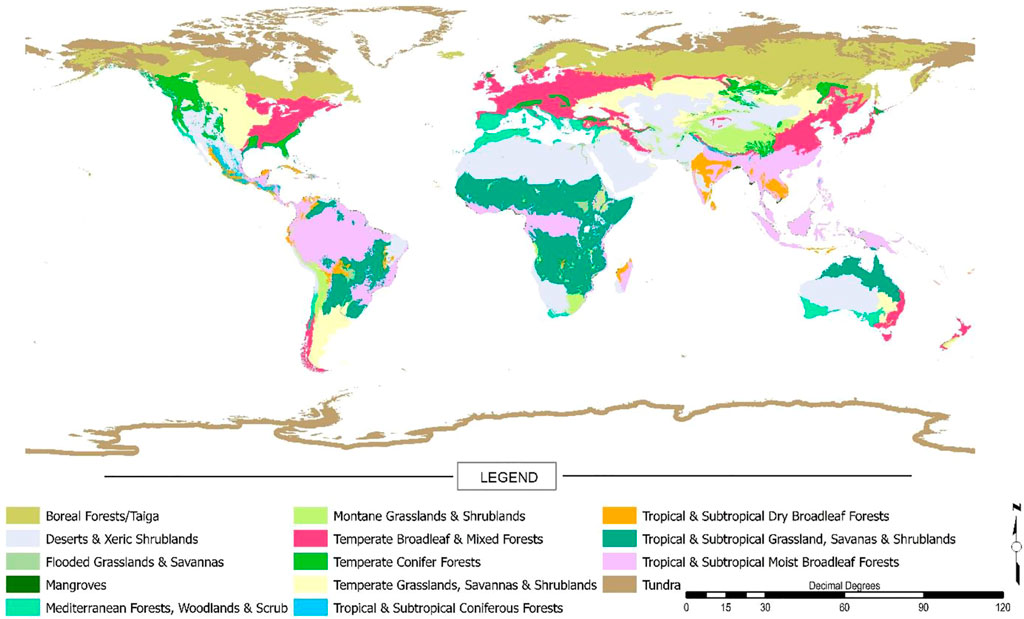 Frontiers | Latitudes and land use: Global biome shifts in vegetation ...