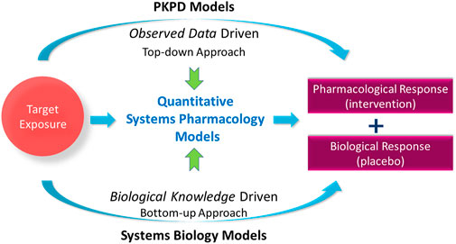 Frontiers | Quantitative systems modeling approaches towards model ...