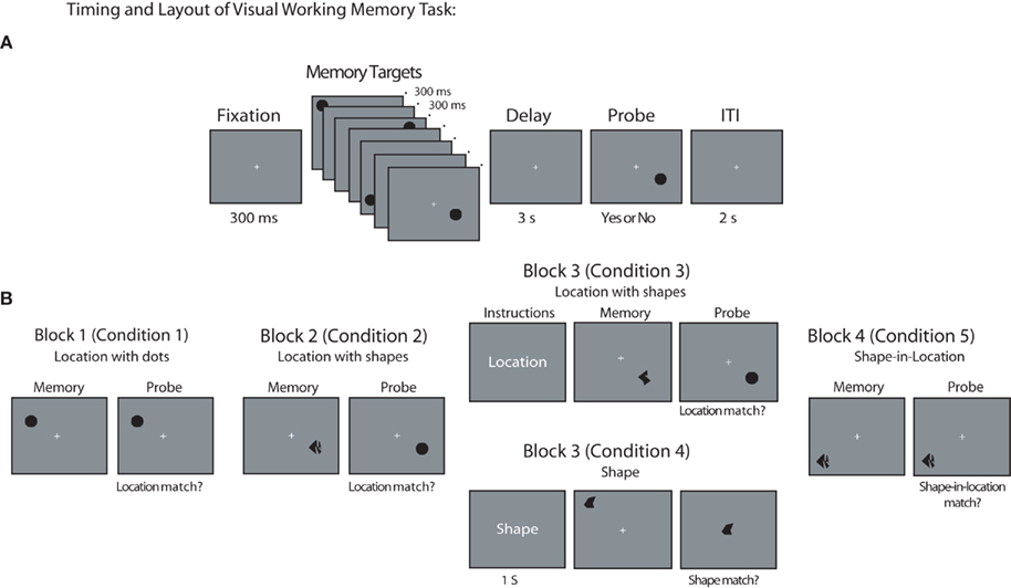 Frontiers | Increased Alpha-Band Power during the Retention of Shapes ...