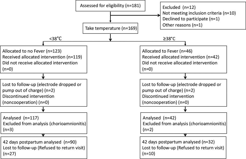 Frontiers | Association between epidural-related maternal fever and ...