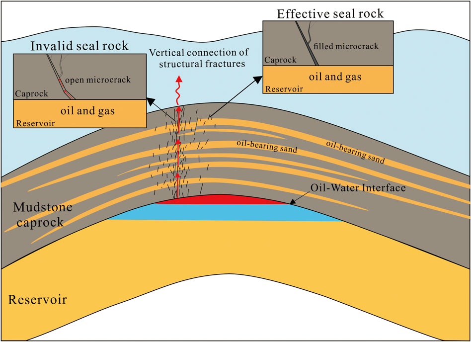 Frontiers | Sealing of oil-gas reservoir caprock: Destruction of shale caprock by micro-fractures