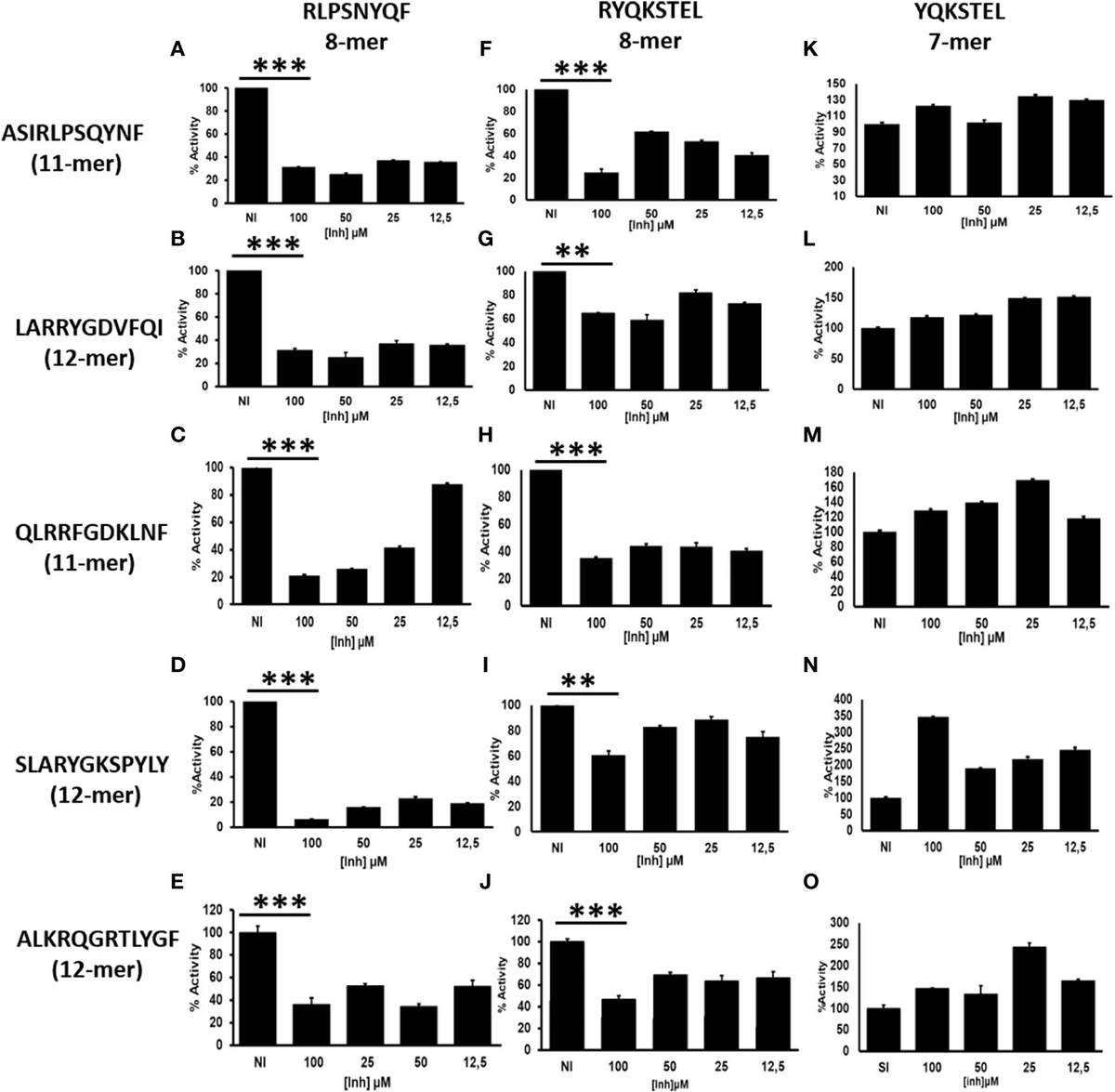 Frontiers | The ER Aminopeptidases, ERAP1 and ERAP2, synergize to self ...