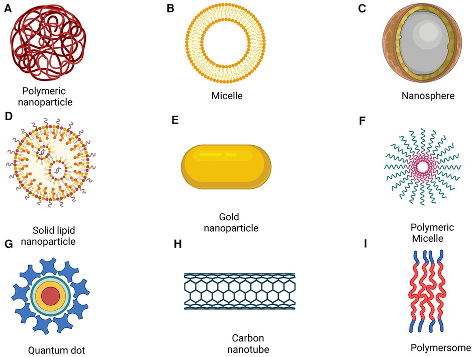Frontiers | Nanoparticles and convergence of artificial intelligence ...