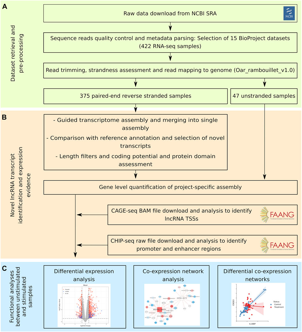 Frontiers | Transcriptomic meta-analysis reveals unannotated long non ...